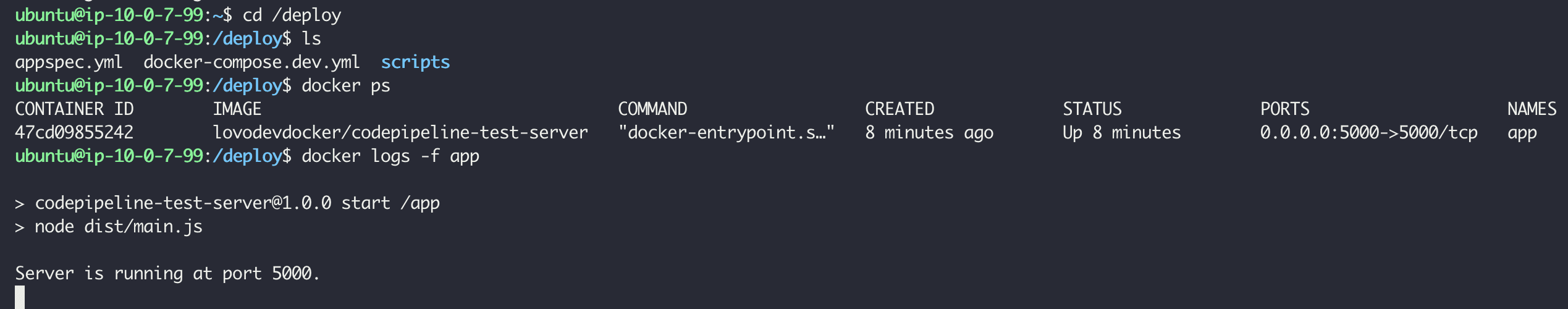 Docker Aws Codebuild Codedeploy 그리고 Codepipeline 으로 Nodejs 프로젝트 Cicd 구축하기